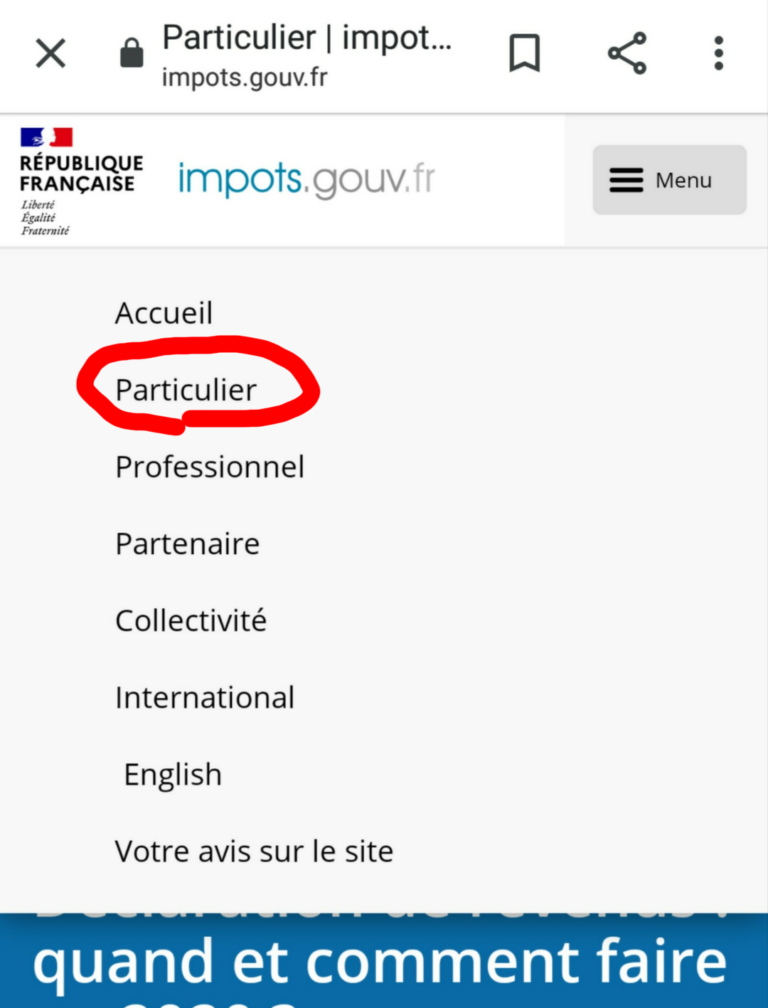 フランスでの納税者番号Numéro fiscal の取得～オンライン編～