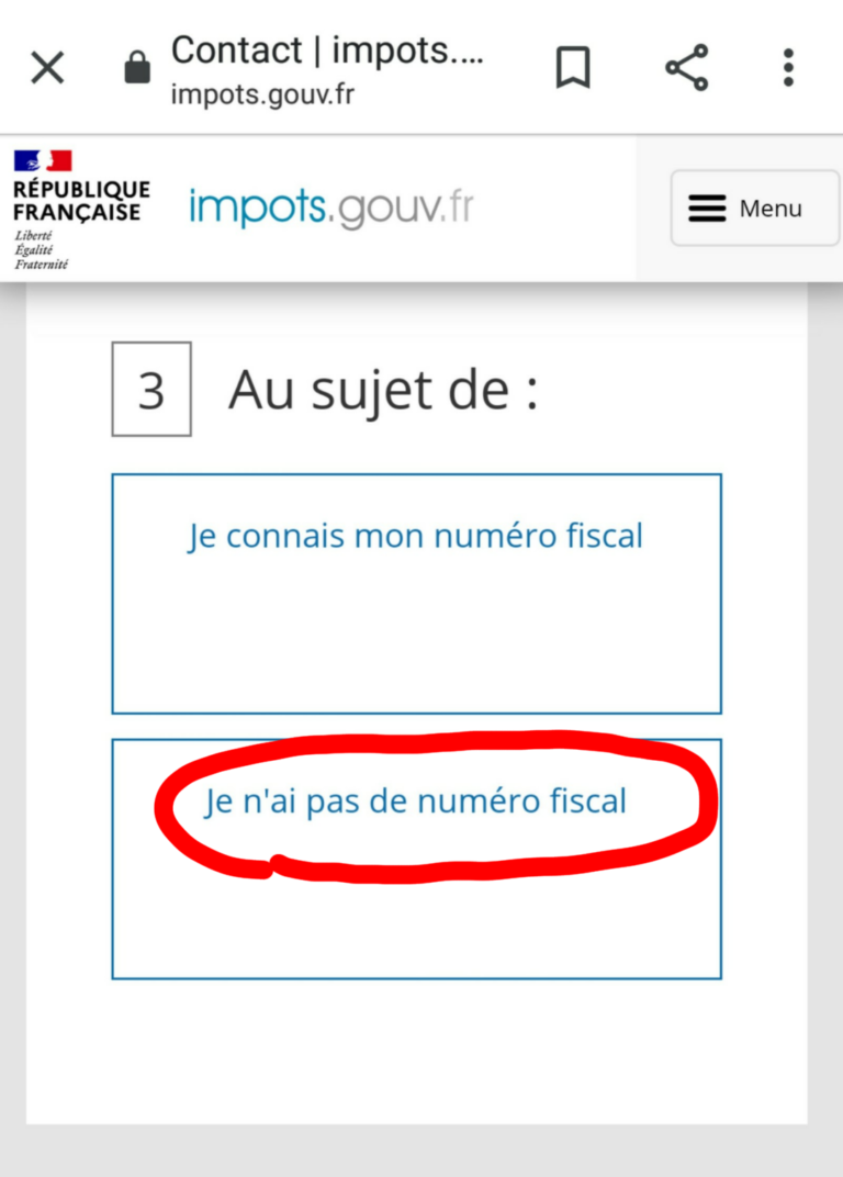フランスでの納税者番号Numéro fiscal の取得～オンライン編～
