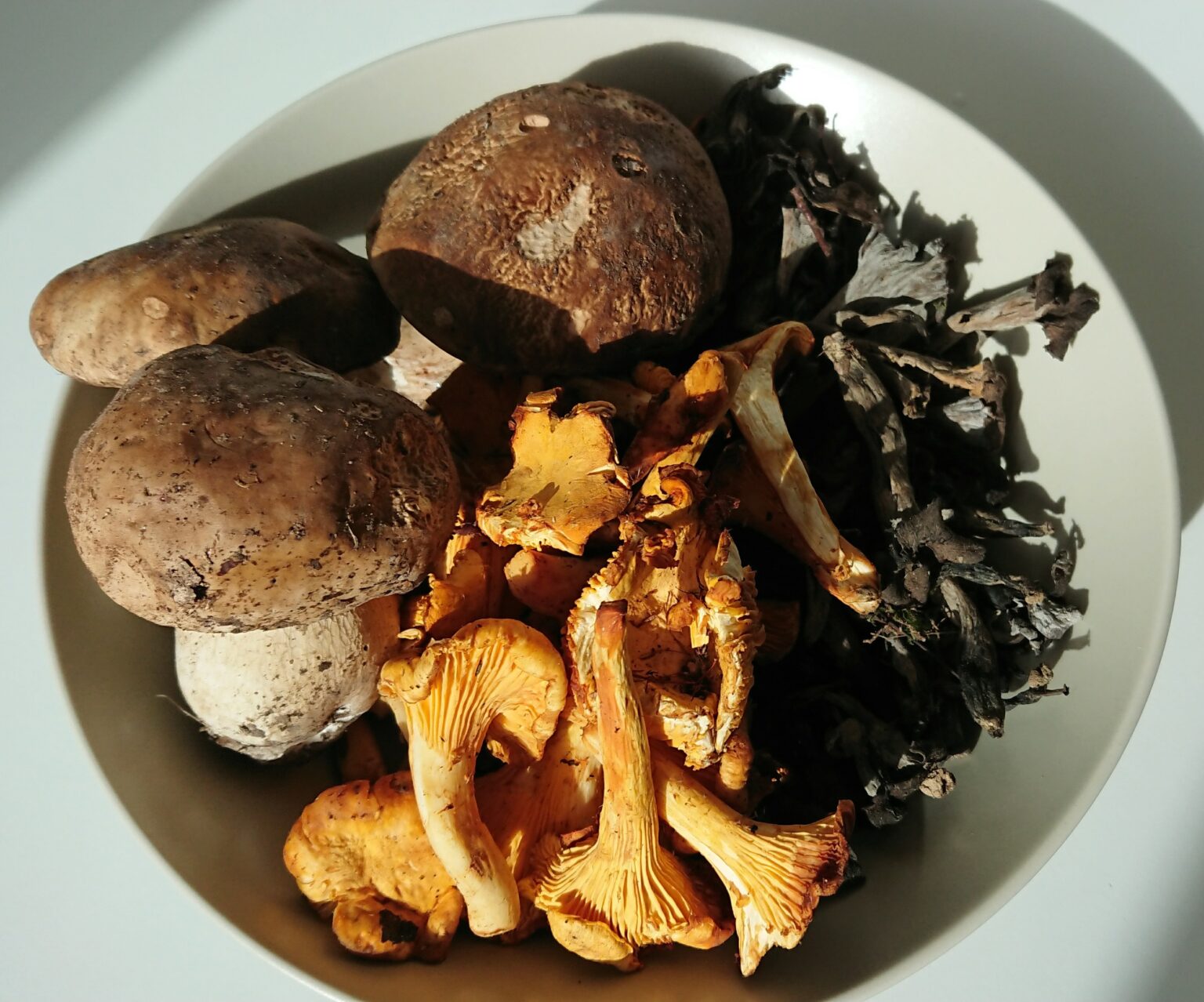 フランス 旬の きのこを思い切り楽しむ。【今が旬！おうちで きのこ祭りしたら幸せすぎた。】